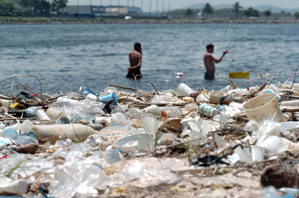 Principales Fuentes De Contaminación Del Agua Parques Alegres I A P