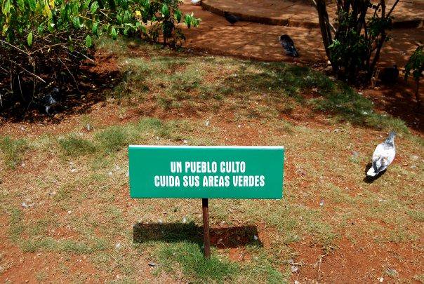 Importancia de un área verde - Parques Alegres I.A.P.