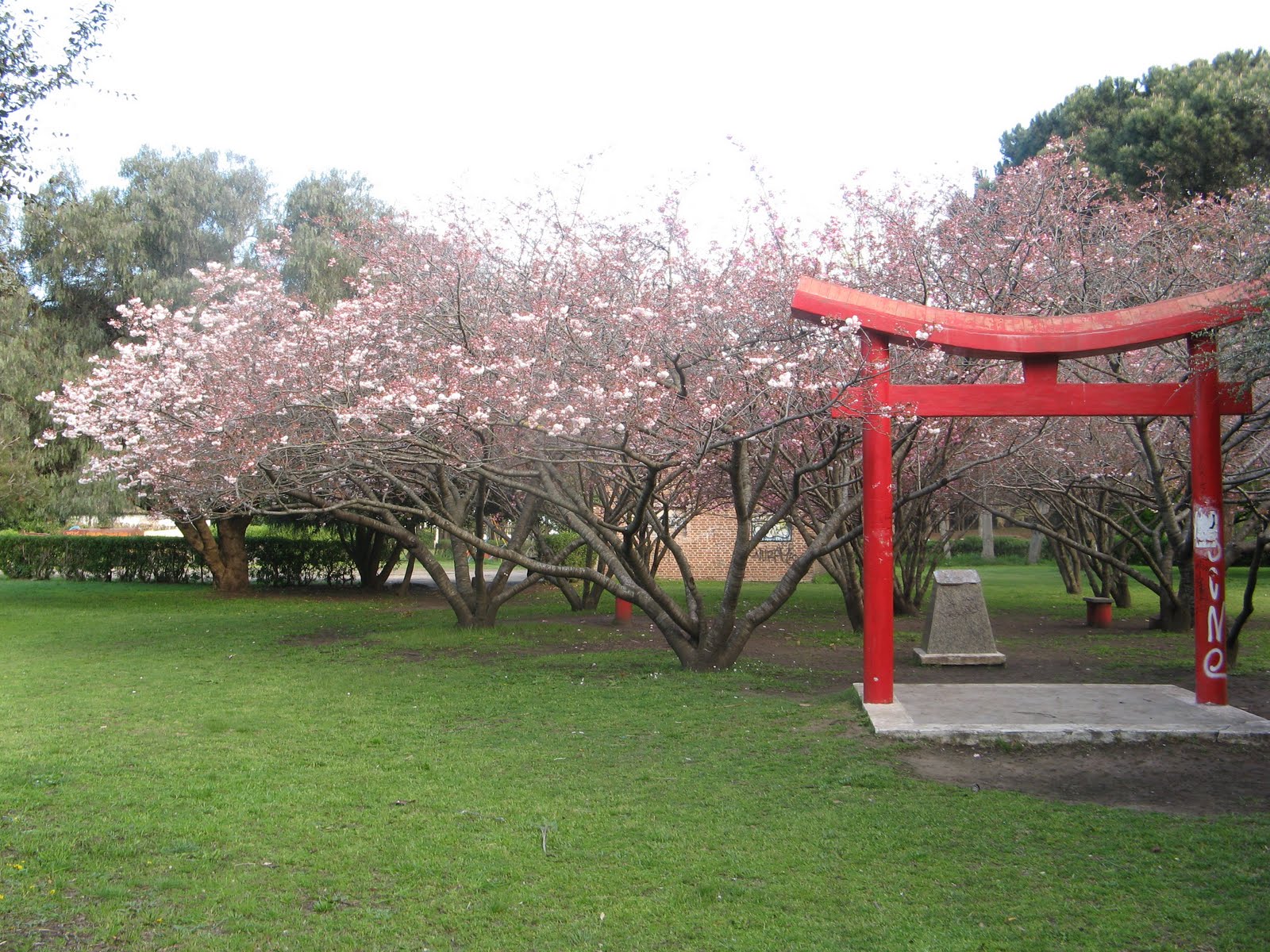 Parques con flores en el mundo - Parques Alegres I.A.P.