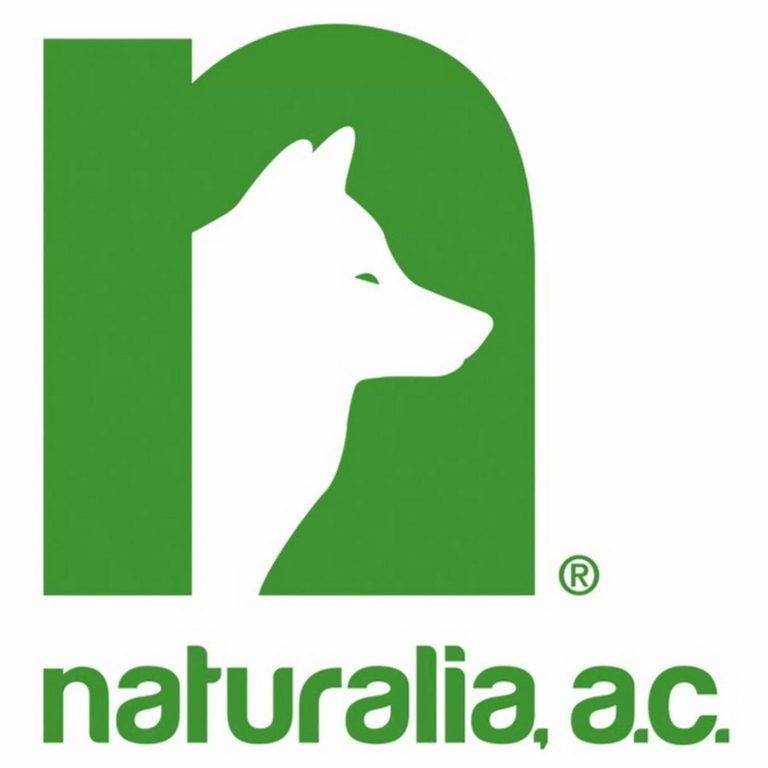 5 Organizaciones ambientales en México - Parques Alegres I.A.P.