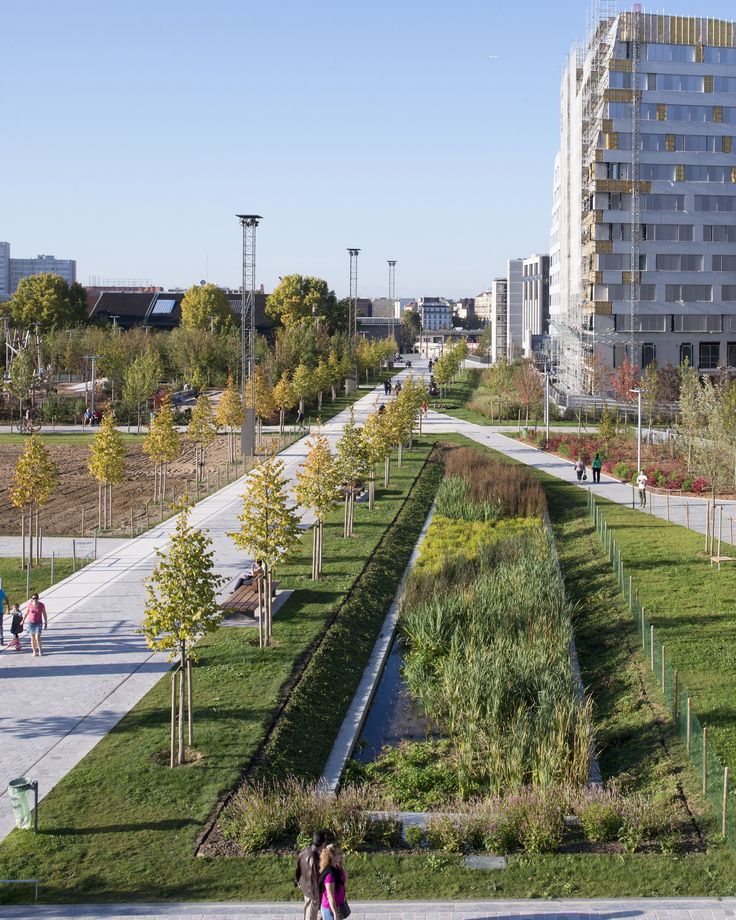 Modalidades de parques recreativos - Parques Alegres I.A.P.