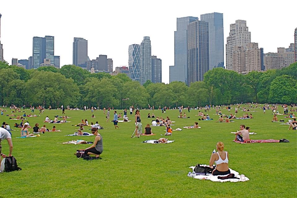 Los parques recreativos y las ciudades - Parques Alegres I.A.P.