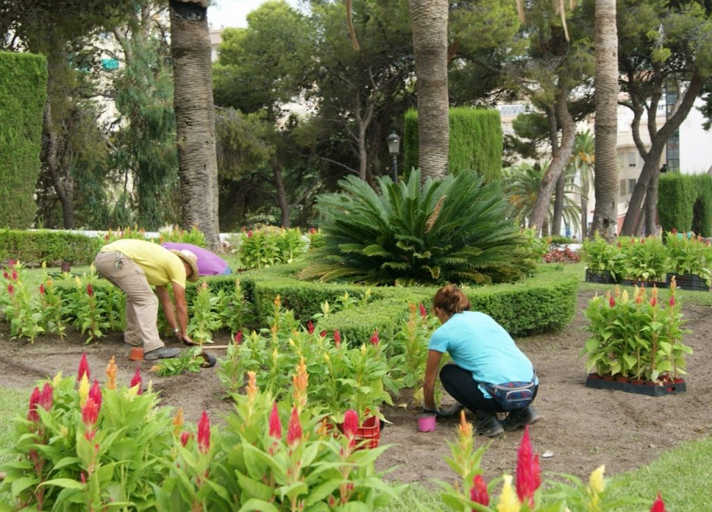 Mantenimiento en los parques y jardines - Parques Alegres I.A.P.
