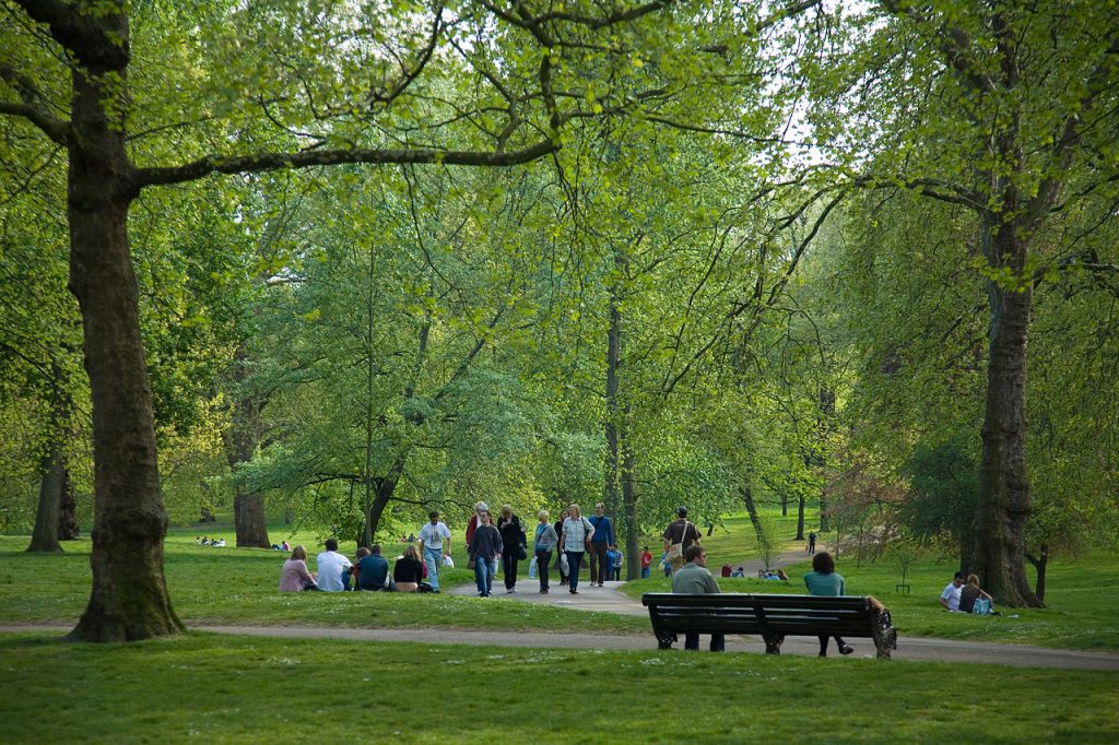 Clasificación de las áreas verdes - Parques Alegres I.A.P.