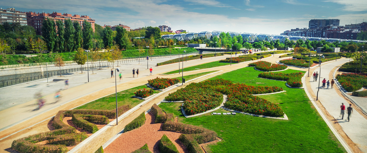 Ciudades con más árboles en el mundo - Parques Alegres I.A.P.