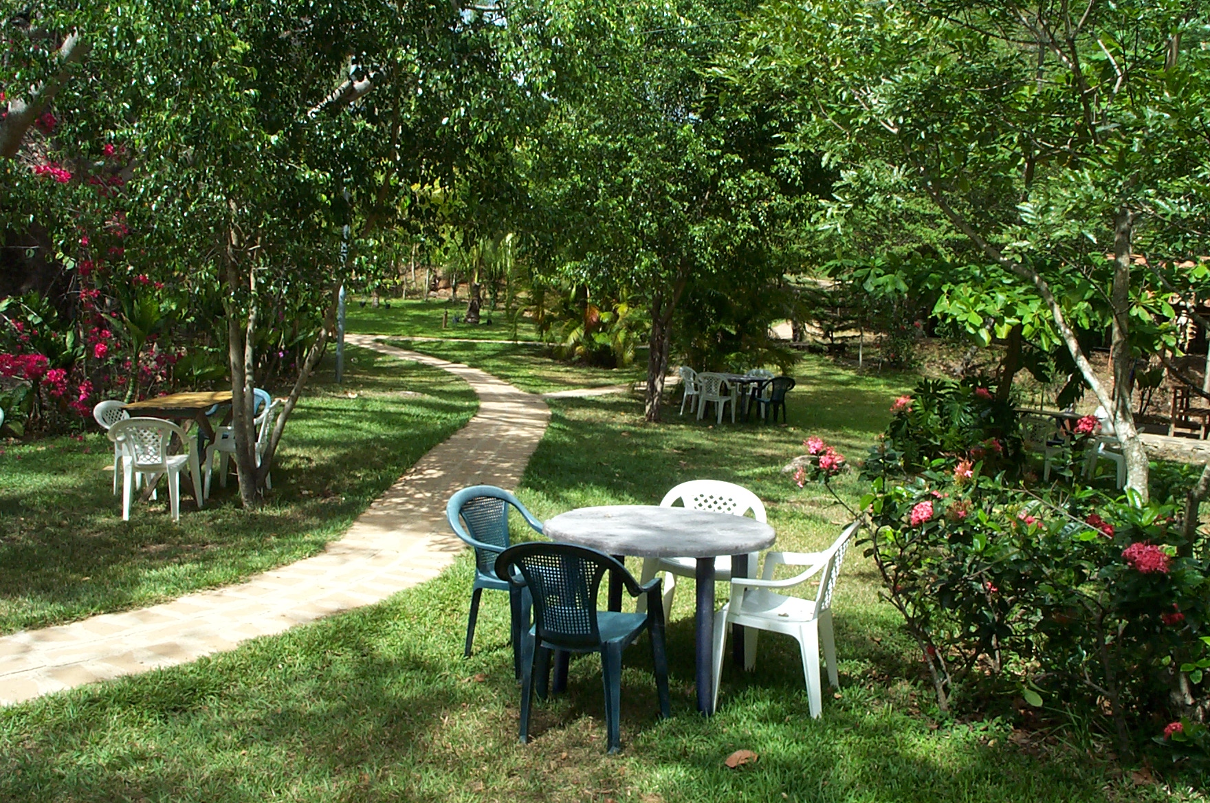 Clasificación de las áreas verdes - Parques Alegres I.A.P.