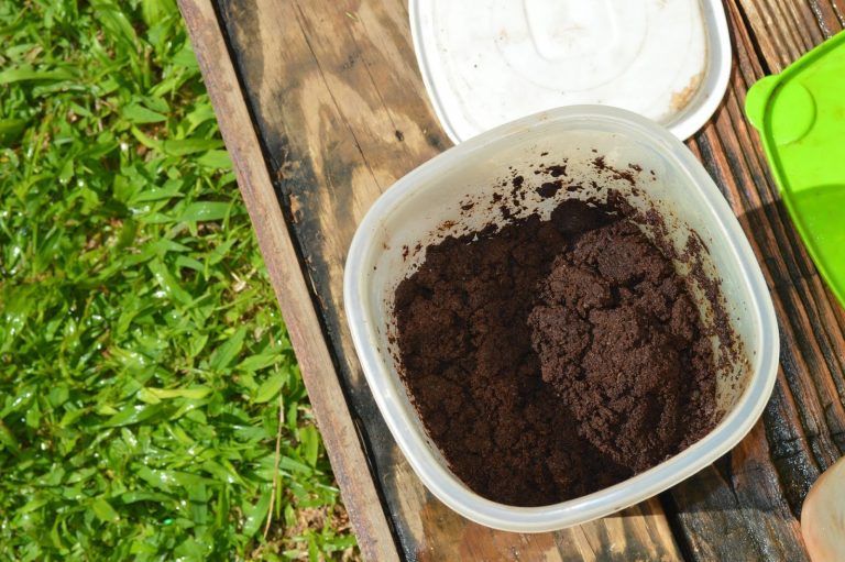 Importancia y beneficios de la composta - Parques Alegres I.A.P.