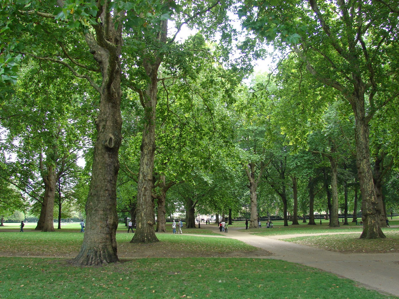 5 beneficios de los parques urbanos - Parques Alegres I.A.P.