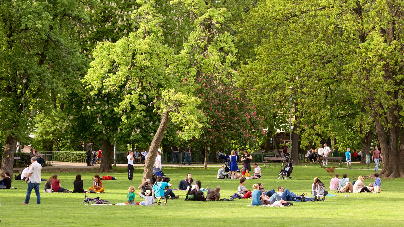 Los parques urbanos generan menos violencia - Parques Alegres I.A.P.