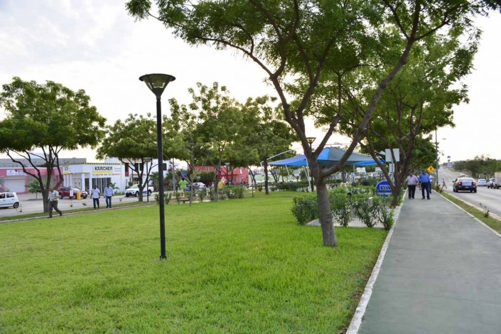 ¿Qué es un parque lineal? - Parques Alegres I.A.P.