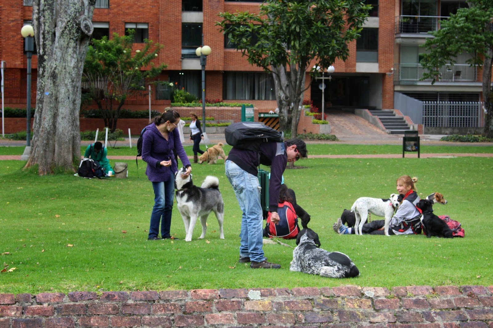 Los parques como espacios de biodiversidad - Parques Alegres I.A.P.