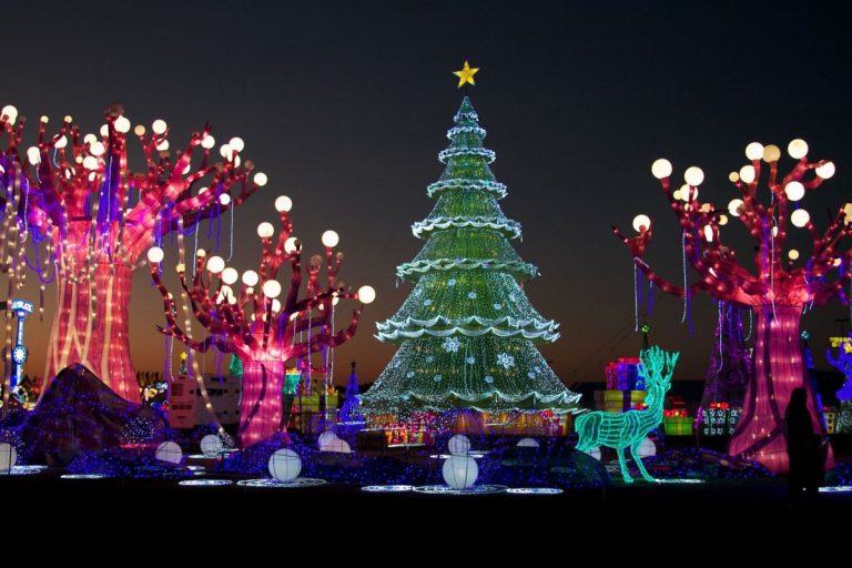 Actividades navideñas en tu parque - Parques Alegres I.A.P.