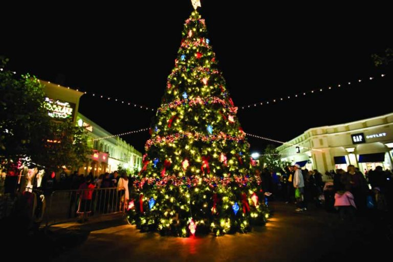 ¿Sabes tu qué es la navidad? - Parques Alegres I.A.P.