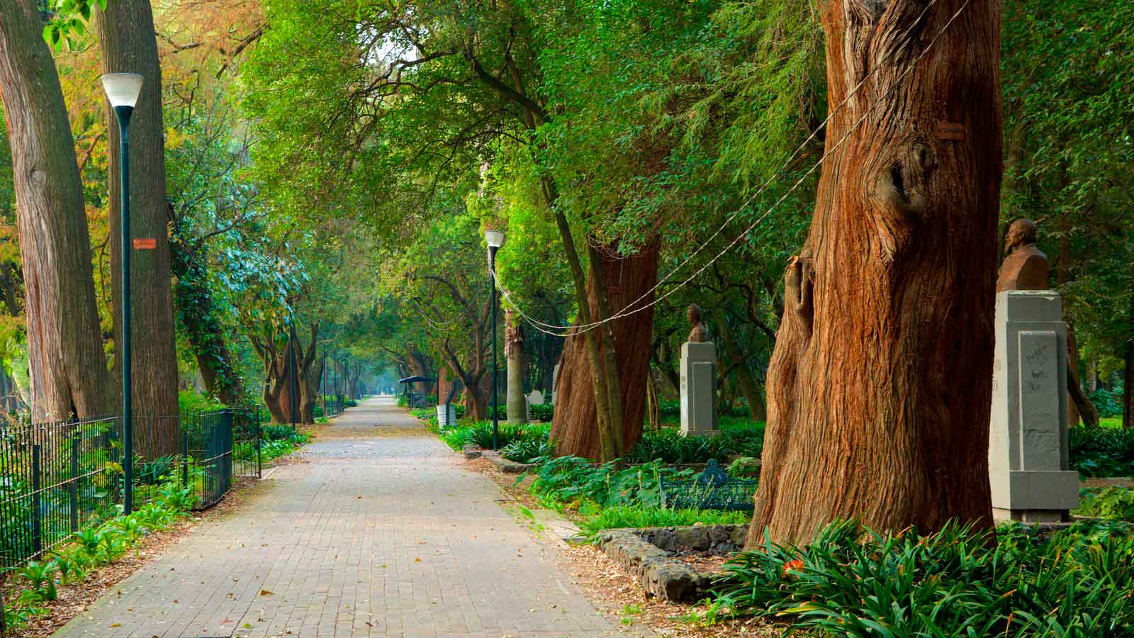 Conoce el parque de Chapultepec en México - Parques Alegres I.A.P.