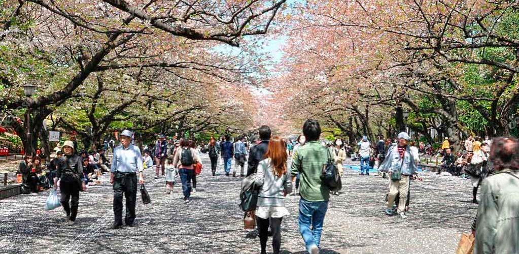 Conoce el Ueno Park en Tokio - Parques Alegres I.A.P.
