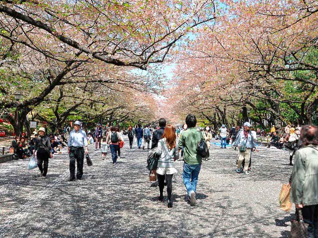 Conoce el Ueno Park en Tokio - Parques Alegres I.A.P.