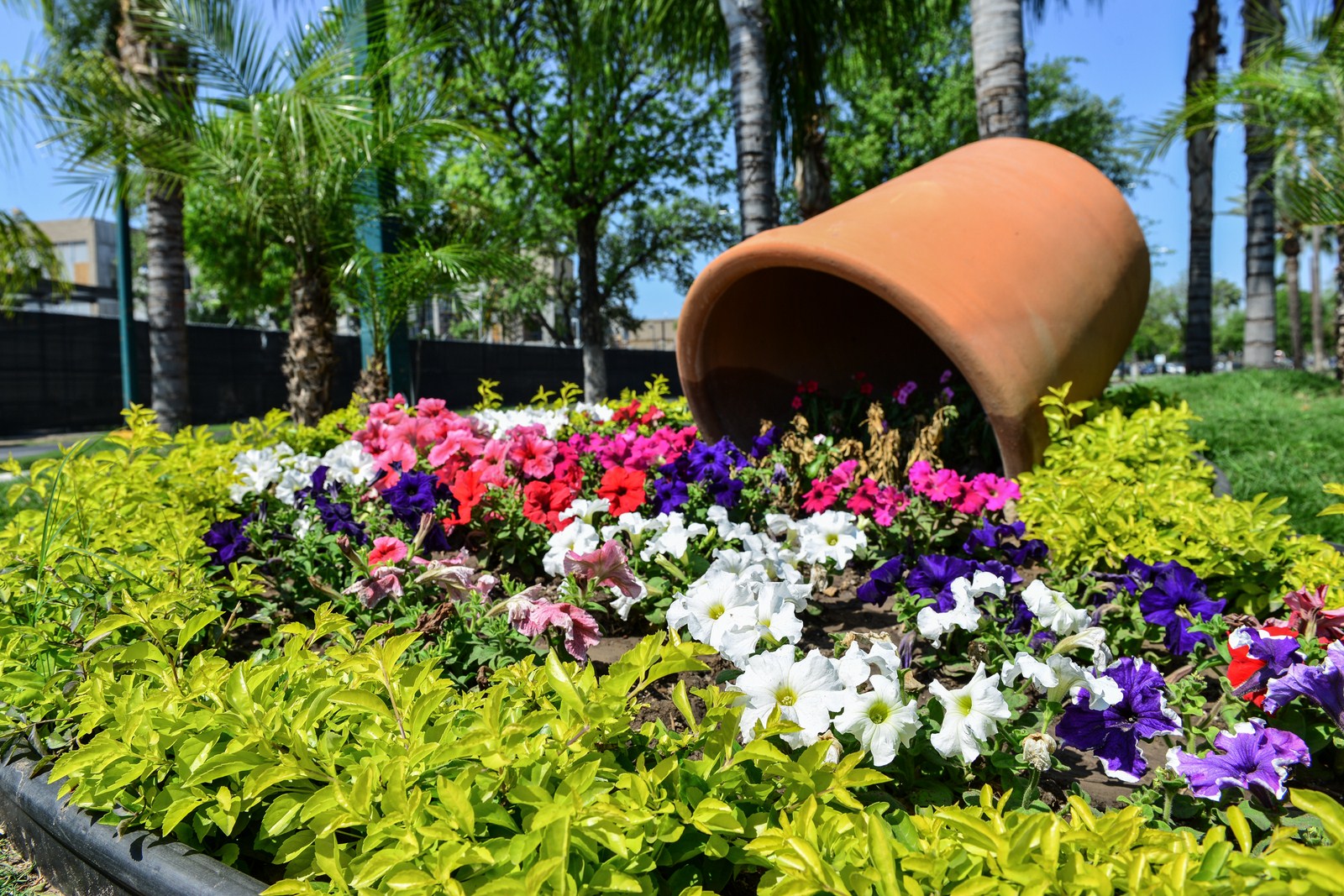 Conoce que es un área verde - Parques Alegres I.A.P.