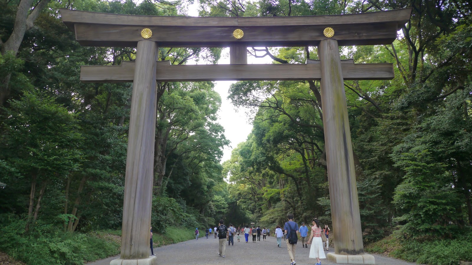 Conoce el parque Yoyogi en Japón - Parques Alegres I.A.P.