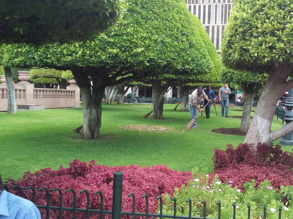 Beneficios de las áreas verdes urbanas - Parques Alegres I.A.P.