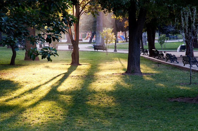 Beneficios de las áreas verdes urbanas - Parques Alegres I.A.P.