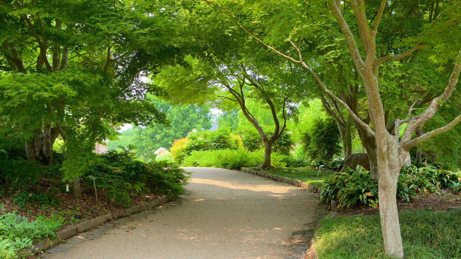 Conoce el parque Richmond en Londres - Parques Alegres I.A.P.