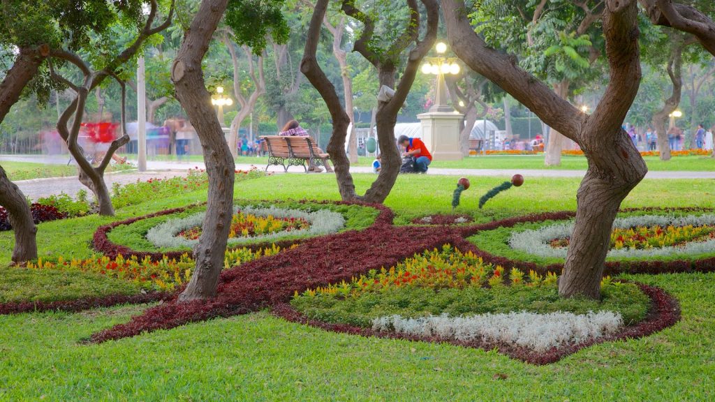 Plantar flores en tu parque: excelente actividad - Parques Alegres I.A.P.