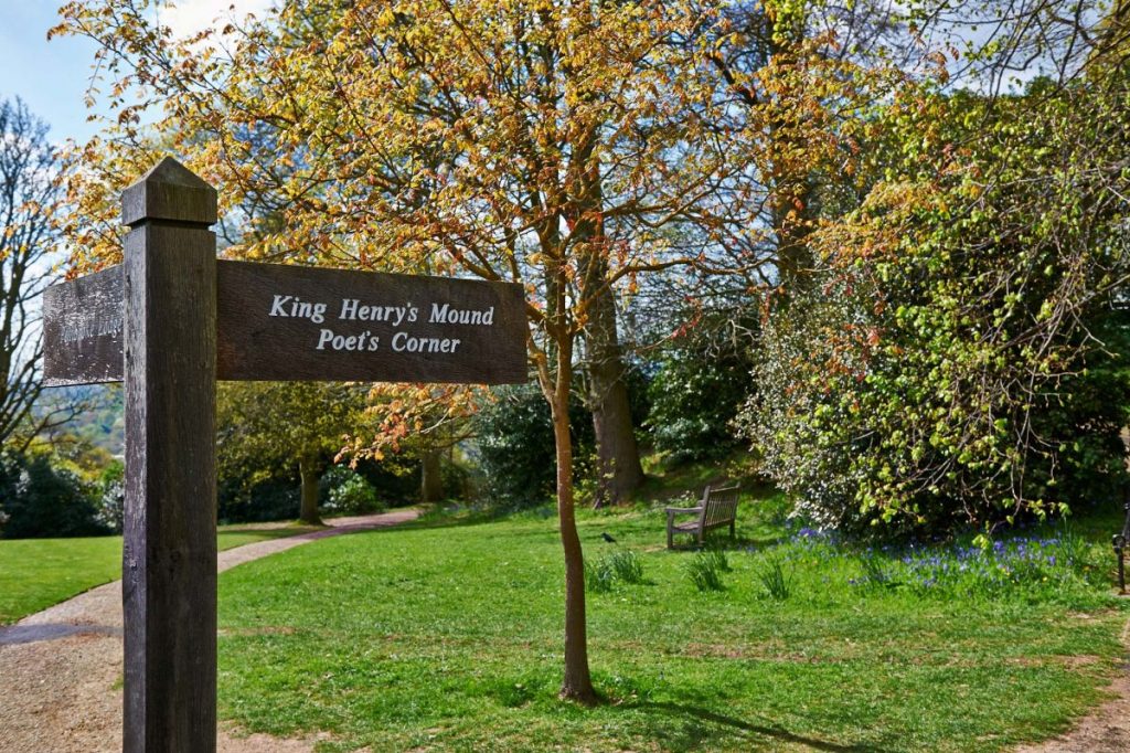 Conoce el parque Richmond en Londres - Parques Alegres I.A.P.