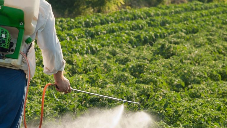 La Importancia de fumigar - Parques Alegres I.A.P.