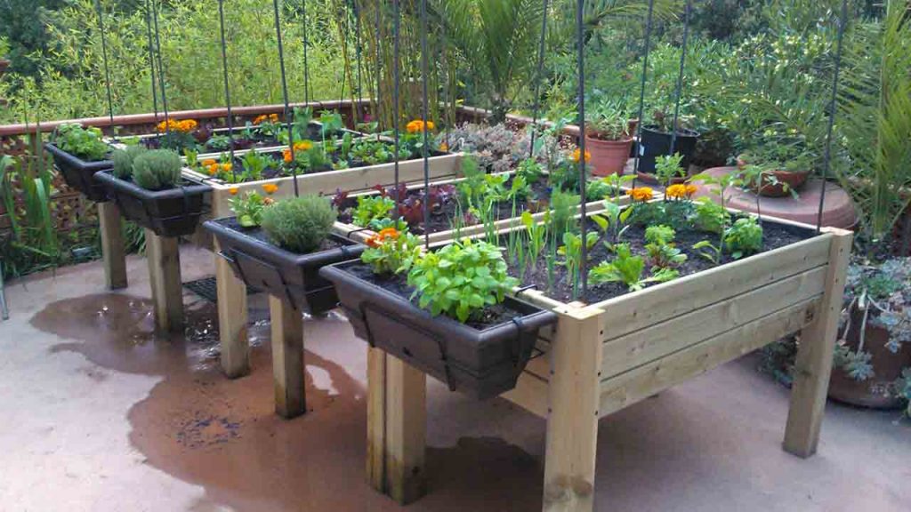 Beneficios De Cultivar Huertos Urbanos Parques Alegres I A P
