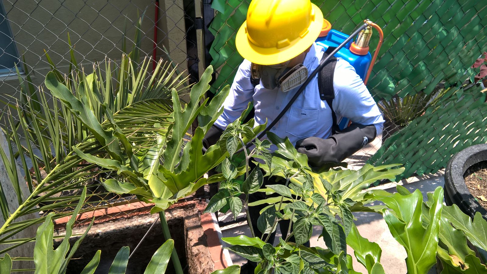 La Importancia de fumigar - Parques Alegres I.A.P.