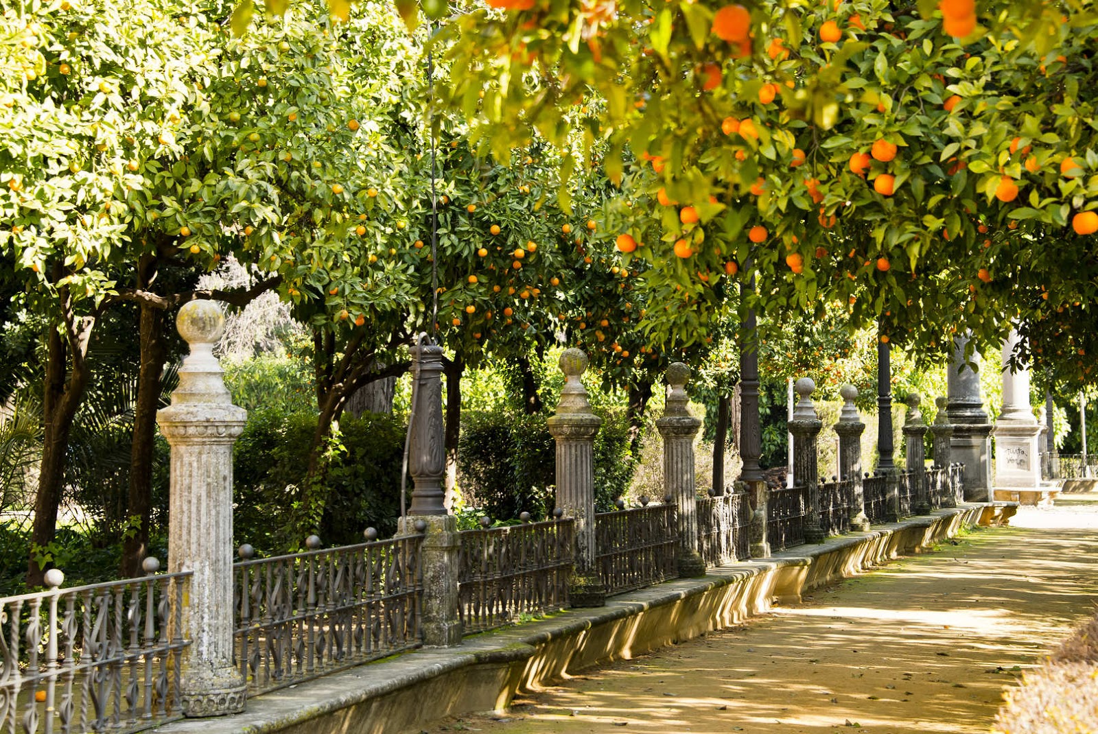 Conoce el parque María Luisa en España - Parques Alegres I.A.P. Conoce el parque María Luisa en España - Parques Alegres I.A.P.