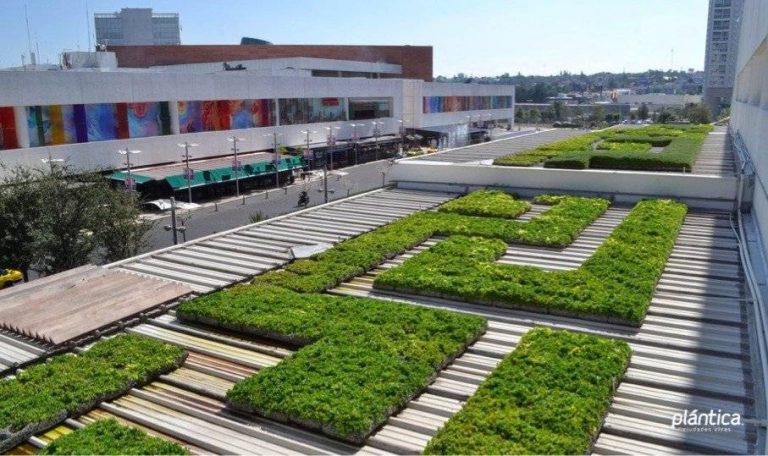¿Para qué sirven las azoteas verdes? - Parques Alegres I.A.P.