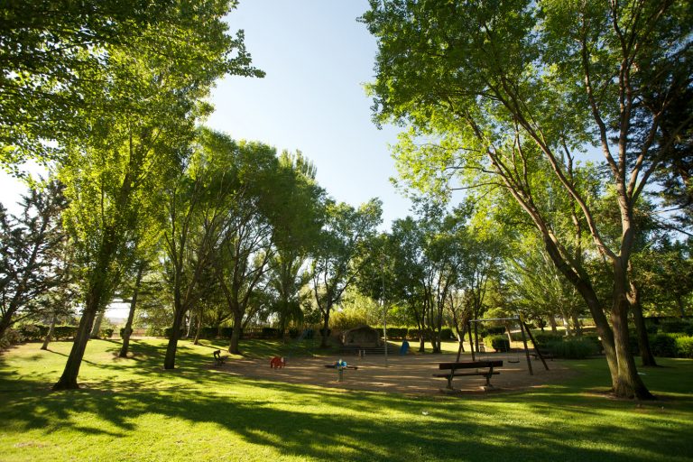 Clasificación de las áreas verdes - Parques Alegres I.A.P.