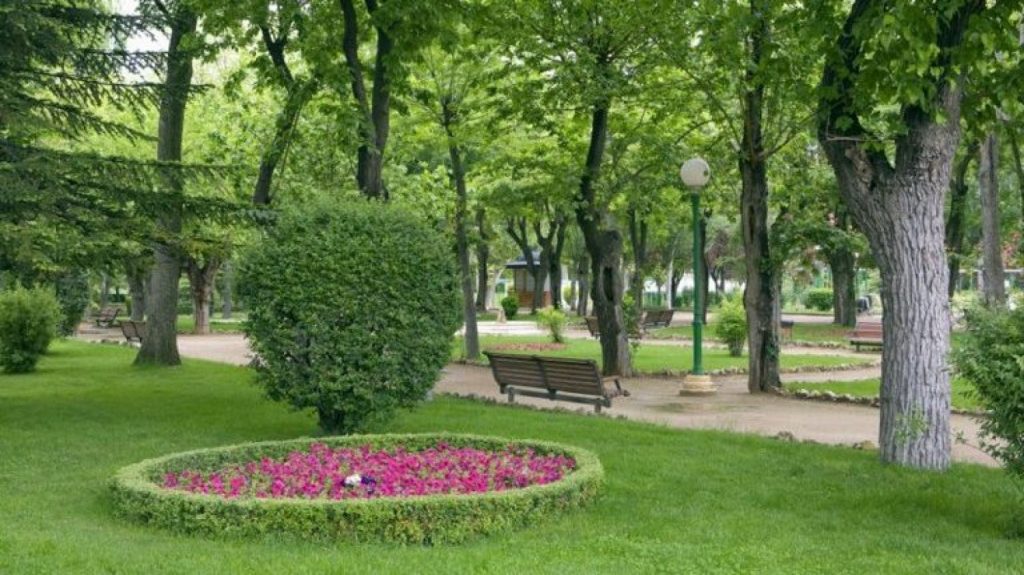 Parking parque: espacios verdes en la ciudad - Parques Alegres I.A.P.