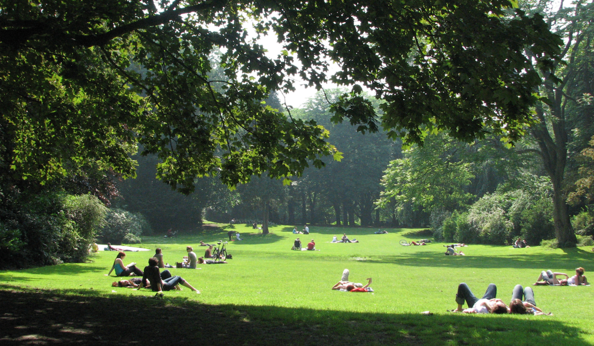 Parking parque: espacios verdes en la ciudad - Parques Alegres I.A.P.