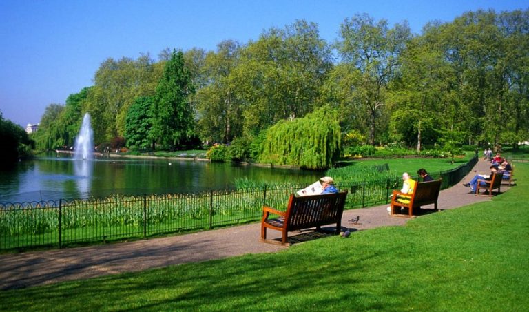 Construcción de un parque de barrio - Parques Alegres I.A.P.