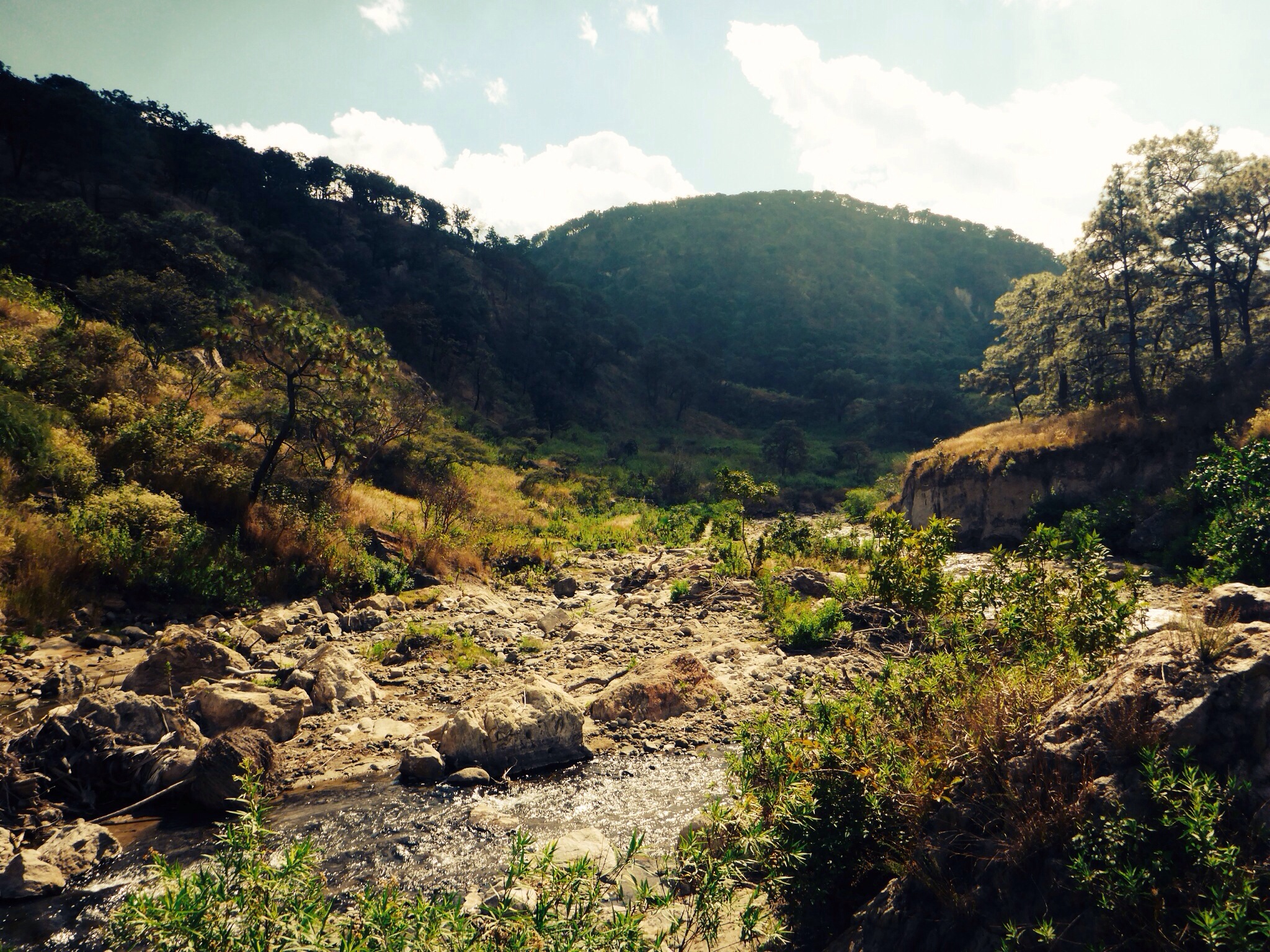 Conoce el parque Bosque la primavera - Parques Alegres I.A.P.