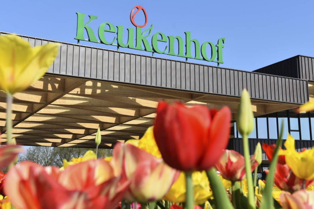 Conoce el parque Keukenhof en Países bajos - Parques Alegres I.A.P.