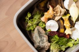 Basura orgánica, qué es y ejemplos - Parques Alegres I.A.P.